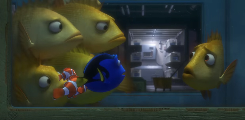 'Finding Dory' Review: Pixar Returns With Strong Emotions and Effective ...
