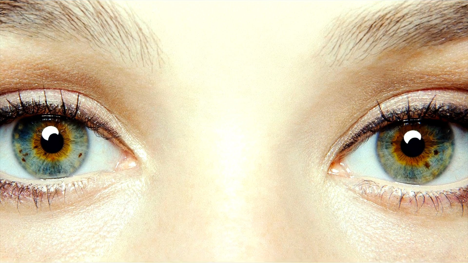 15 most "underrated/overlooked" movies of the 2000's that every movie ...