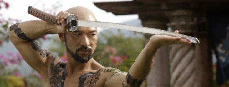Film review : Falcon Rising (2014) | Movie-Blogger.com